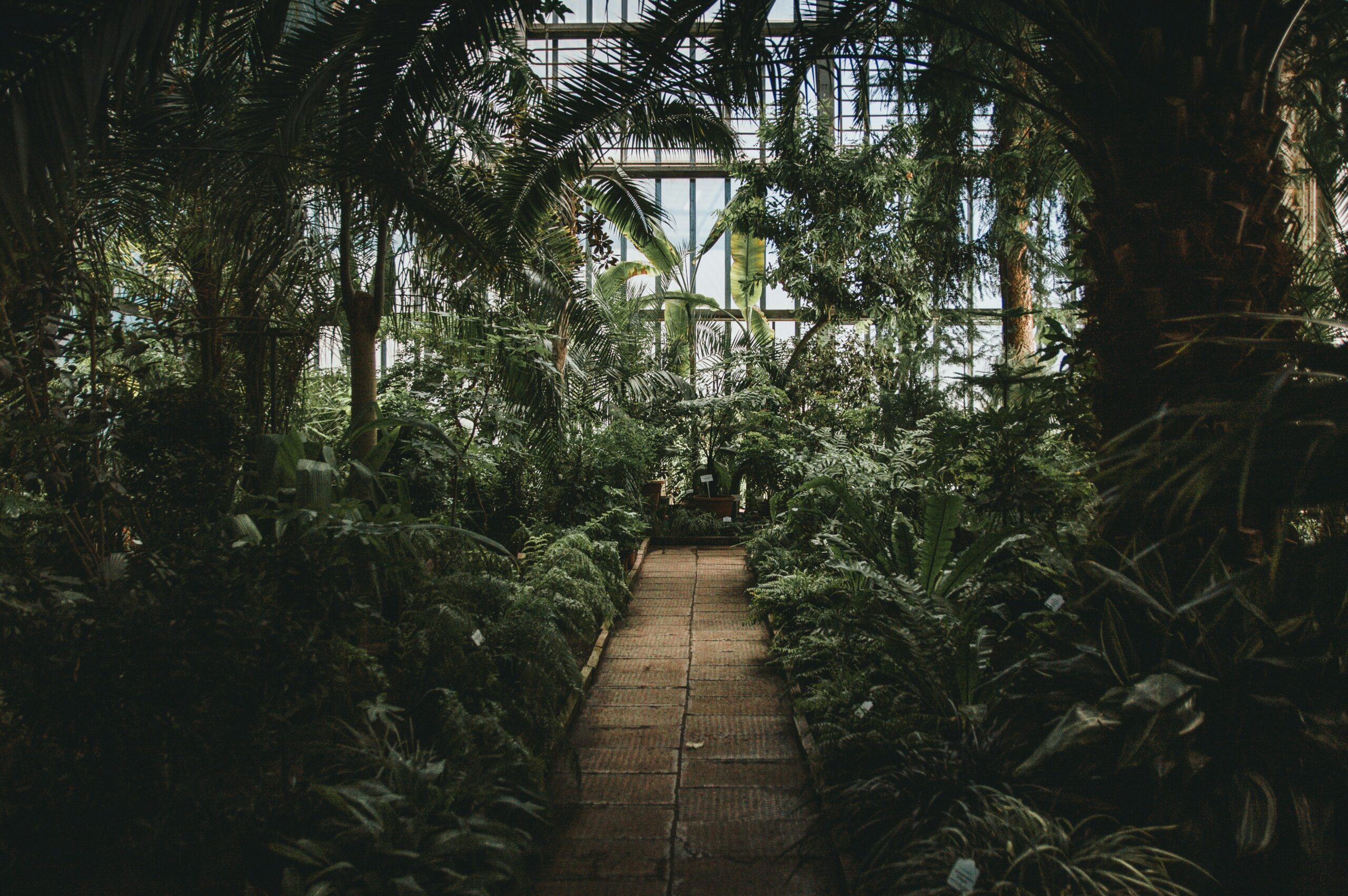 Nature Reserves and Botanical Gardens in Latvia: Explore the Best Green ...