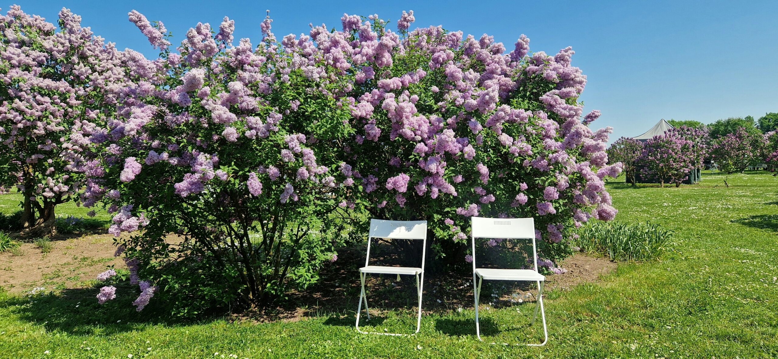 Dobele, Latvia: The Ultimate Guide to the Best Things to Do - Latvia ...
